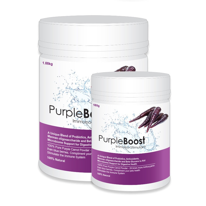 LifeWise. Purple Boost 180g – Pets Point